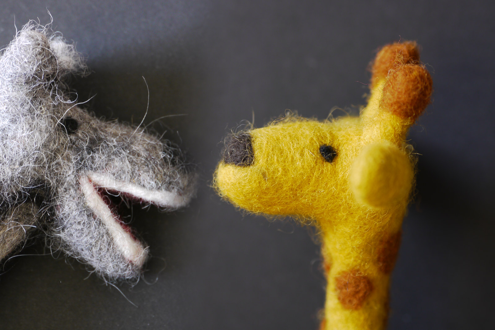 Konflikte lösen leicht gemacht - GFK Marshall Rosenberg | Heilkunst Vlcek