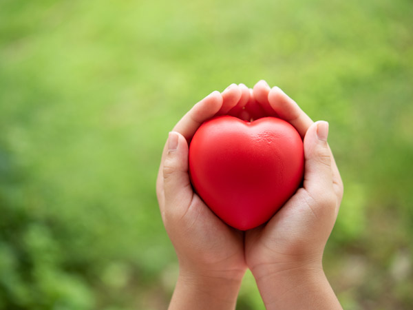 Unser Einstieg in Heilarbeit & Energiearbeit | Heilkunst Vlcek